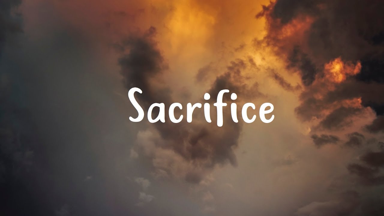 Sacrifice đi với Giới từ gì? Sacrifice là danh từ đếm được hay không ...